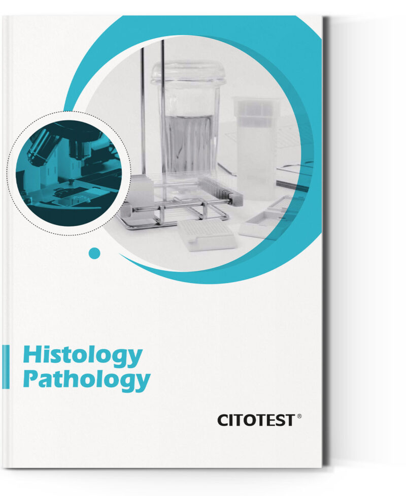 Katalog - Vito Medical